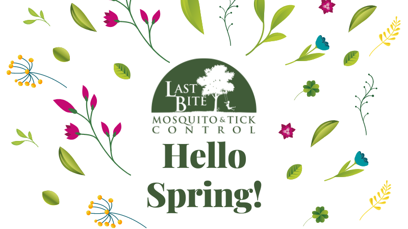 Spring Is Finally Here | Last Bite Mosquito